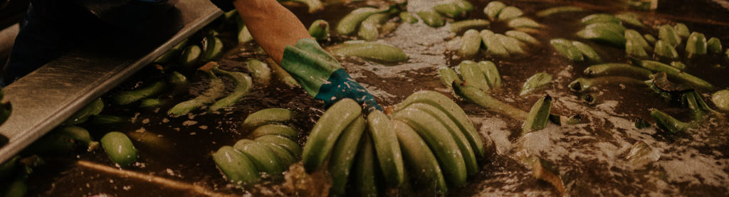 Historia – El Horcón